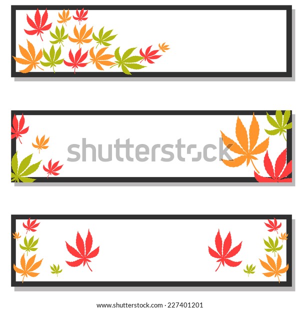 Set Three Banners Leaves Marijuana Different Stock Vector (Royalty Free ...