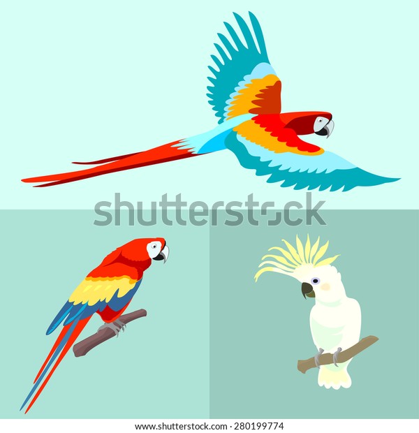 Conjunto de tres loros de aves Ara Macao y Kakadu. Pájaro en vuelo y ...