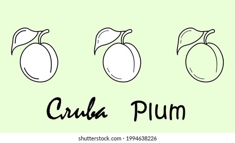 1,534 Russian plum Images, Stock Photos & Vectors | Shutterstock