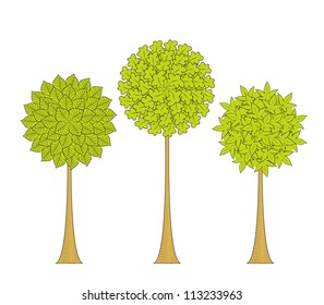 Set Three Trees Stock Vector (Royalty Free) 113233963 | Shutterstock