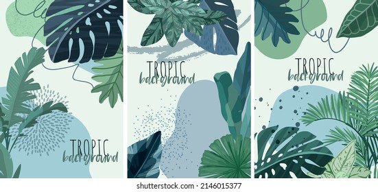 Set Three Tropical Backgrounds Leaves Abstract Stock Vector (Royalty Free) 2146015377 | Shutterstock