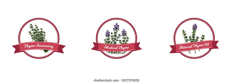 1,036 Thyme color sketch Images, Stock Photos & Vectors | Shutterstock
