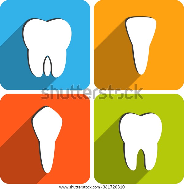 Set Tooth Types Icons Canine Premolar 库存矢量图（免版税）361720310 | Shutterstock