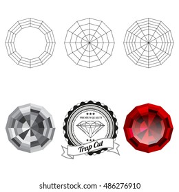 Set Trap Cut Jewel Views Isolated Stock Vector (Royalty Free) 486276910 ...