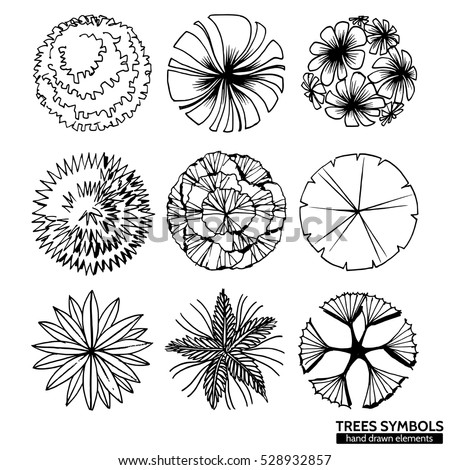 Set Trees Symbols Top View Use 库存矢量图（免版税） 528932857 - Shutterstock