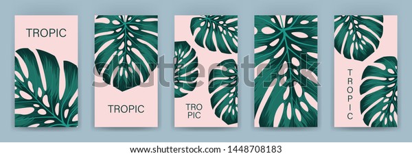 Set Tropical Cover Template Layout Set Stock Vector (Royalty Free ...