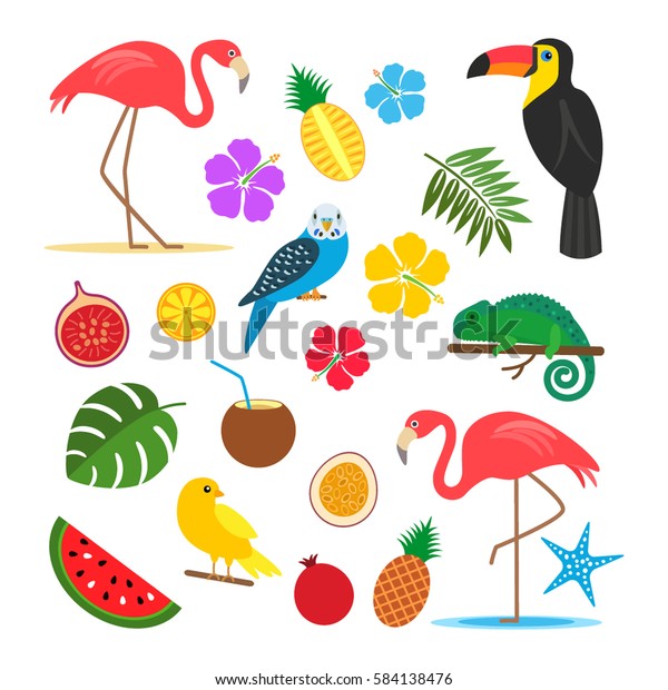 Set Tropical Exotic Elements Plants Animals Stock Vector (Royalty Free ...