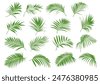 1+ Million Palm Textures Royalty-Free Images, Stock Photos & Pictures ...