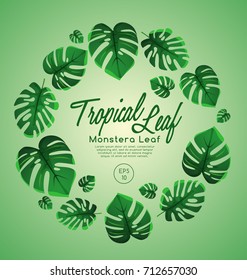 Set Tropical Leaves Monstera Leaf Vector: เวกเตอร์สต็อก (ปลอดค่าลิขสิทธิ์) 712657030 | Shutterstock