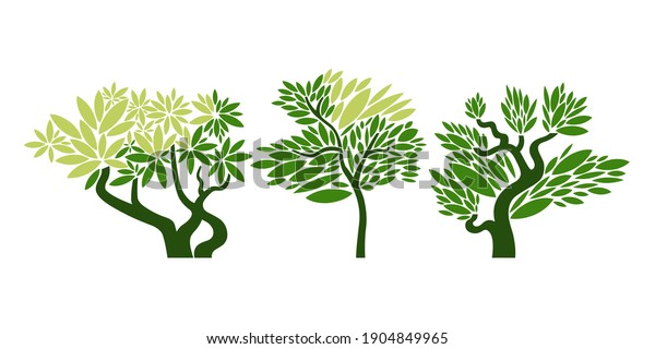 Set Tropical Trees Botanical Garden Vector Stock Vector (Royalty Free ...