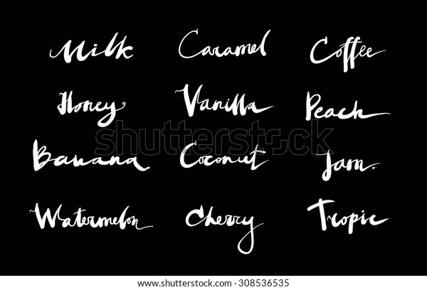 Set Twelve Calligraphy Expressive Bright Ink Stock Vector (Royalty Free ...