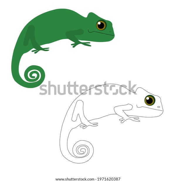 Set Two Chameleons Outline Colouring Stock Vector (Royalty Free ...