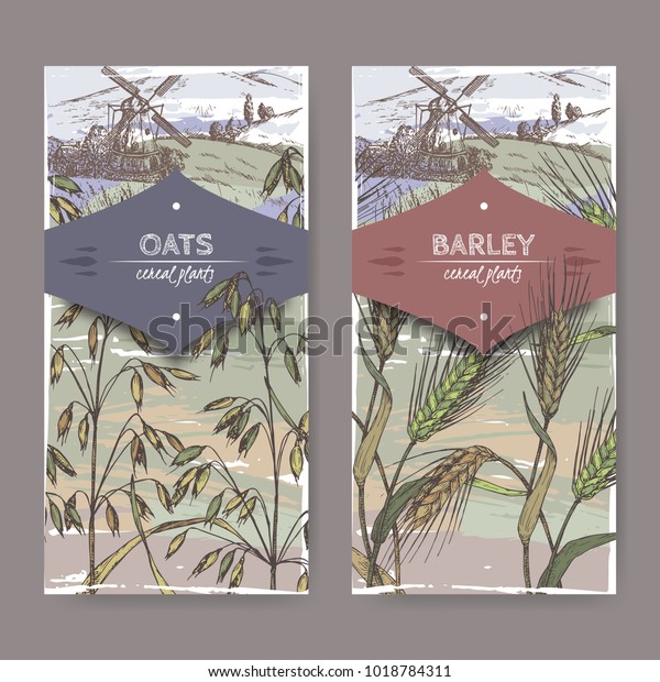 Set Two Color Labels Barley Aka Stock Vector (Royalty Free) 1018784311 ...