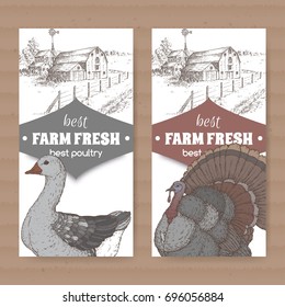 Set Two Farm Shop Labels Farmhouse Stock Vector (Royalty Free ...