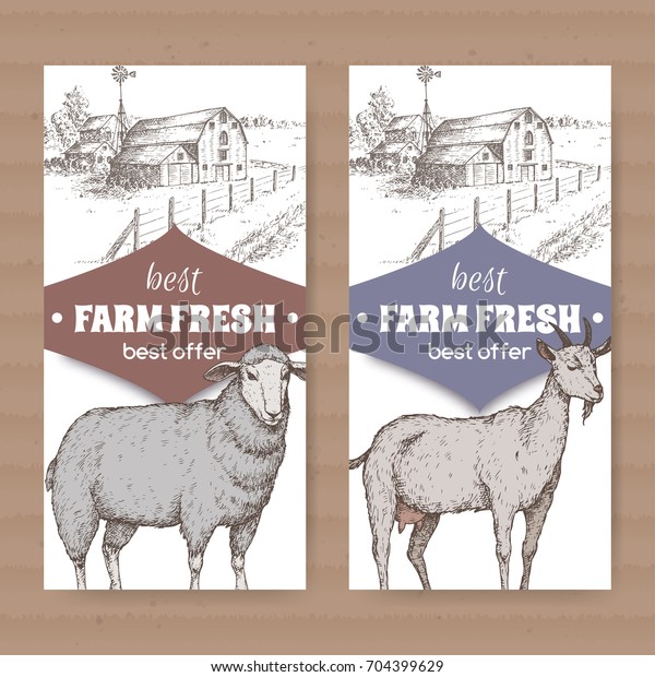 Set Two Farm Shop Labels Farmhouse Stock Vector (Royalty Free ...