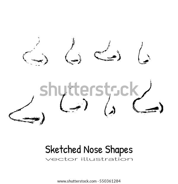 Set Types Shapes Noses Sketched Vector Stock Vector (Royalty Free ...