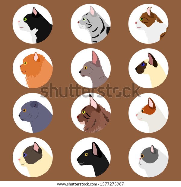 Set Various Breed Cats Profile Stock Vector (Royalty Free) 1577275987 ...