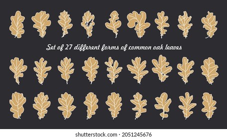 Set Various Forms Common Oak Leaves Stock Vector (Royalty Free ...