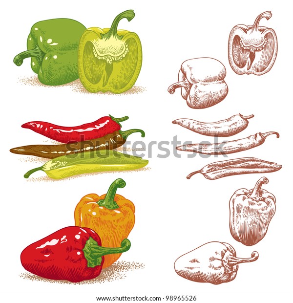 Conjunto de pimientos variados. Ilustración vectorial.