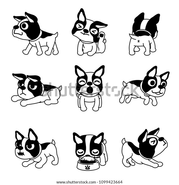 Set Vector Cartoon Character Boston Terrier Stock Vector (Royalty Free ...
