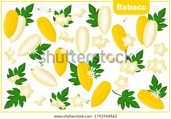 Set Vector Cartoon Illustrations Whole Half Stock Vector (Royalty Free ...