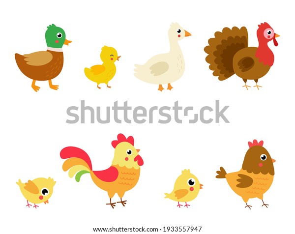 Set Vector Farm Birds Cartoon Style Stock Vector (Royalty Free ...