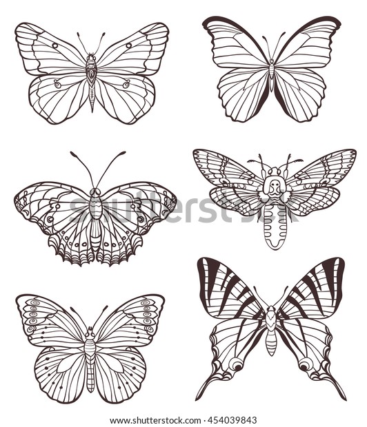 Conjunto de mariposas dibujadas a mano vectorial