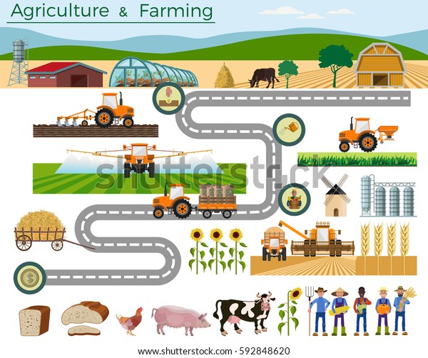 Set Vector Illustrations Agricultural Infographic Stock Vector (Royalty ...