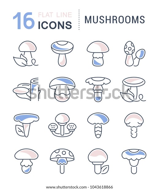 Set Vector Line Icons Sign Symbols Stock Vector (Royalty Free ...