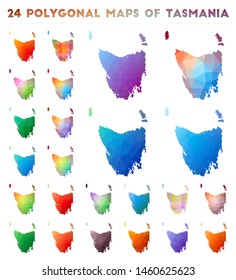 Set Vector Polygonal Maps Tasmania Bright Stock Vector (Royalty Free ...