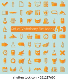 Set Veterinary Flat Icons Stock Vector (Royalty Free) 281217680 | Shutterstock