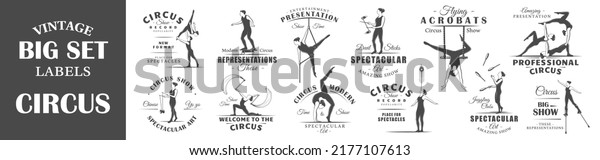 Set Vintage Circus Labels Templates Design Stock Vector (Royalty Free ...
