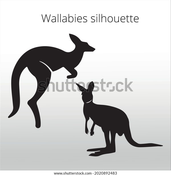 Set Wallabies Silhouettes Line Isolated Logo Stock Vector (Royalty Free ...