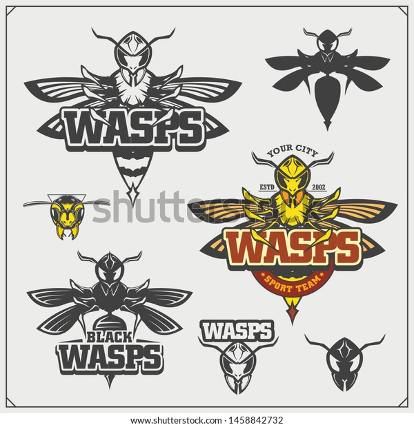 Set Wasp Labels Badges Icons Design Stock Vector (Royalty Free ...