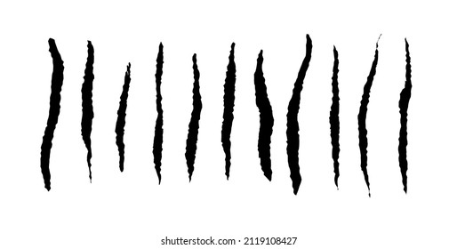 Set Werewolf Cat Beast Scratch Scrape Stock Vector (Royalty Free ...