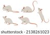 6,409 Field Mice Royalty-Free Images, Stock Photos & Pictures ...