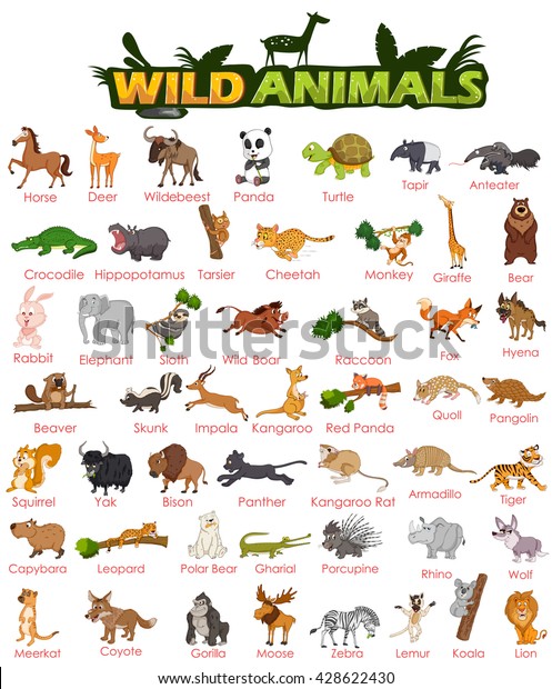 Conjunto de gran variedad de animales salvajes en vectores
