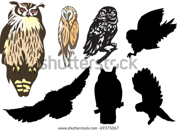 Seven Owls Isolated On White Background Stock Vector (Royalty Free ...
