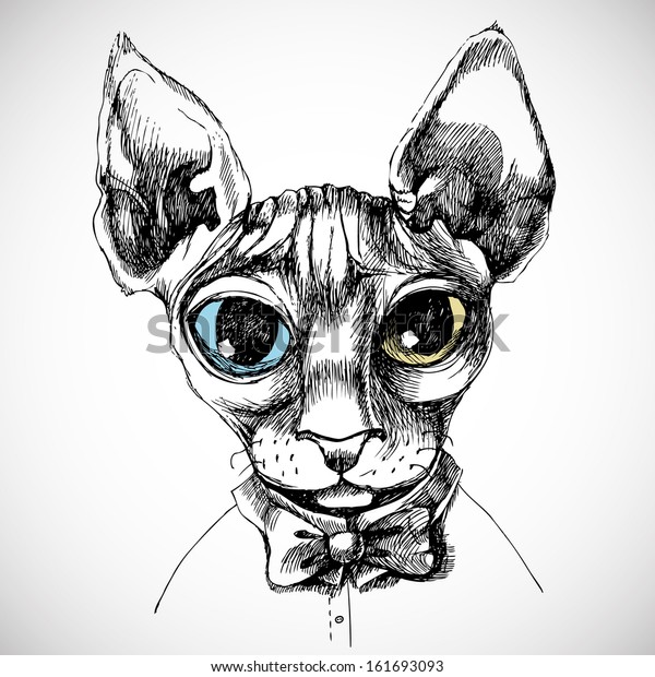 Sfinks Cat Portrait Hand Drawn Vector Stock Vector (Royalty Free ...