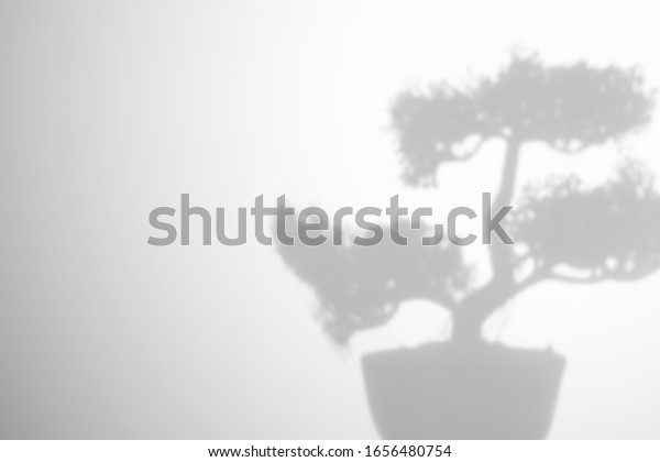 Shadow Bonsai Tree On White Wall Stock Vector (Royalty Free) 1656480754 ...