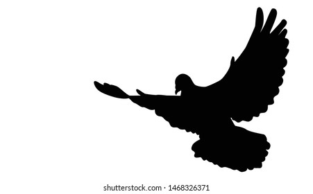 Shadow Vector Images Birds That Fly Stock Vector (Royalty Free ...