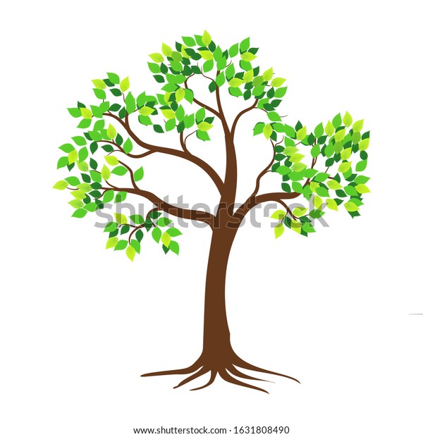 Shady Green Leaf Tree White Background Stock Vector (Royalty Free ...