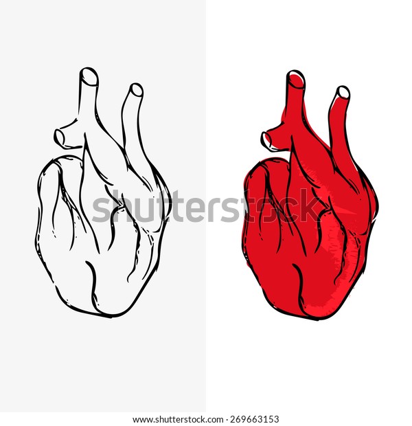 Shape Real Heart Red White Transparent Stock Vector (Royalty Free ...