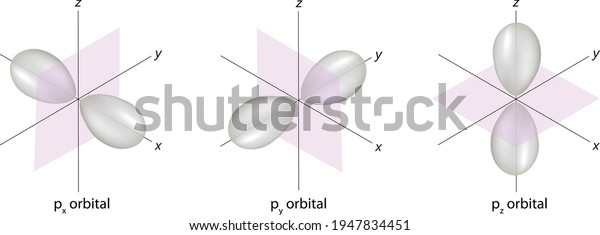Shapes P Orbitals On Coordinate System Stock Vector (Royalty Free ...