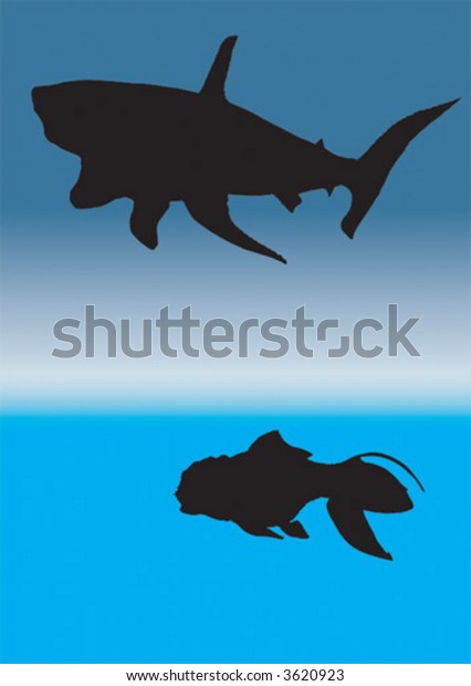 Shark Goldfish Stock Vector (Royalty Free) 3620923 | Shutterstock