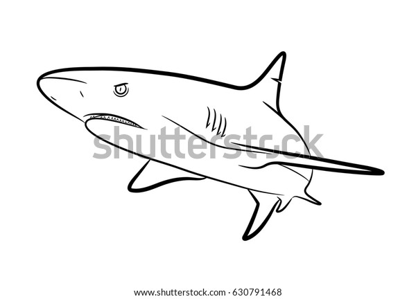 Shark Line Art Hand Drawn Vector Stock Vector (Royalty Free) 630791468