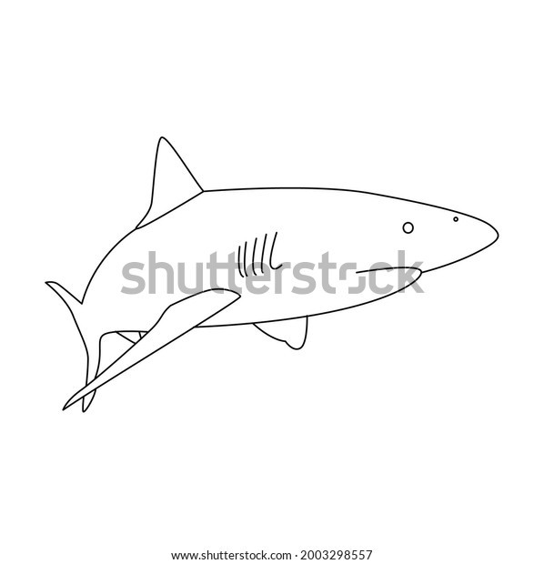 Shark Line Drawing Clip Art Stock Vector (Royalty Free) 2003298557 ...