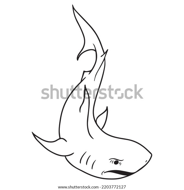 Shark Vector Graphic Design Illustration Art Stock Vector (Royalty Free ...
