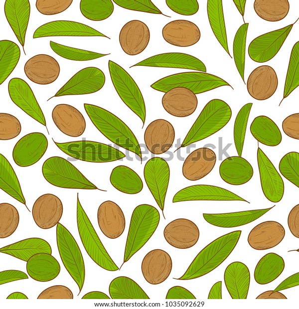 Shea Background Wallpaper Texture Seamless Sketch Stock Vector (Royalty ...