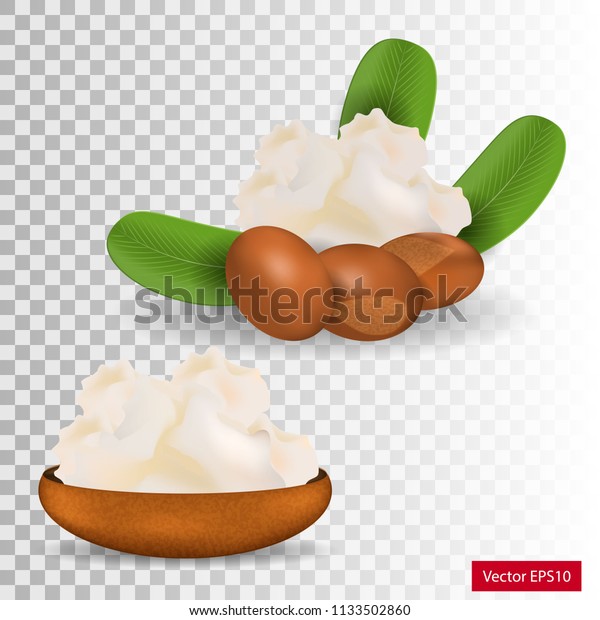 Shea Butter On Transparent Background Vector Stock Vector (Royalty Free ...